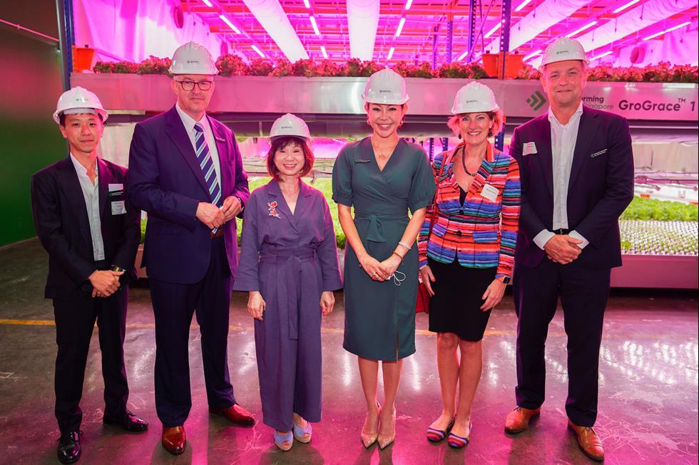 Urban Farming Partners Singapore opens first facility | Article | Fruitnet